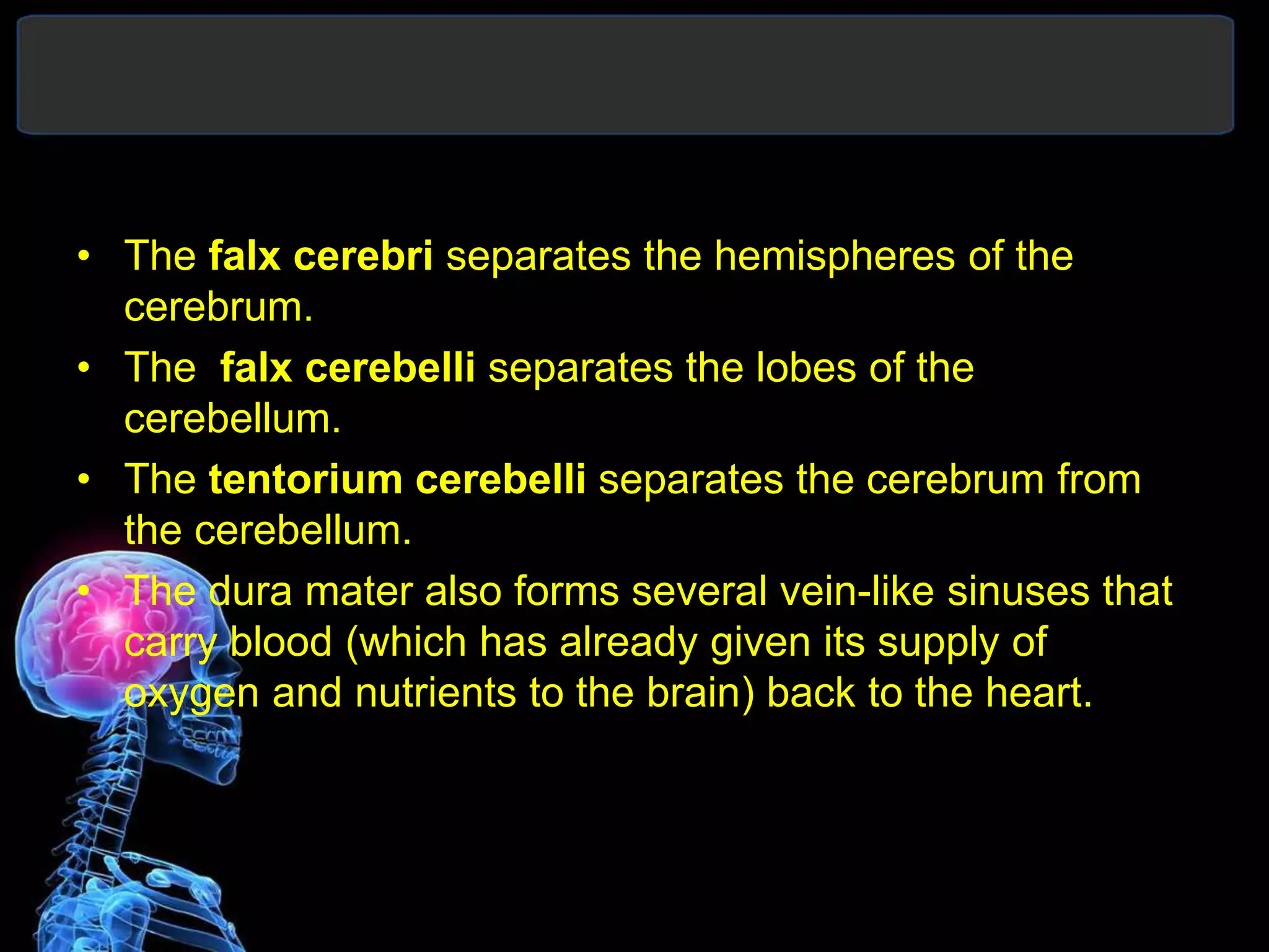 Meninges, ventricles and cerebro spinal fluid | PPTX