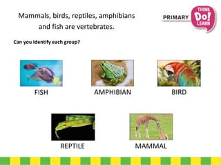 Ns2 m2-u3-presentation | PPTX