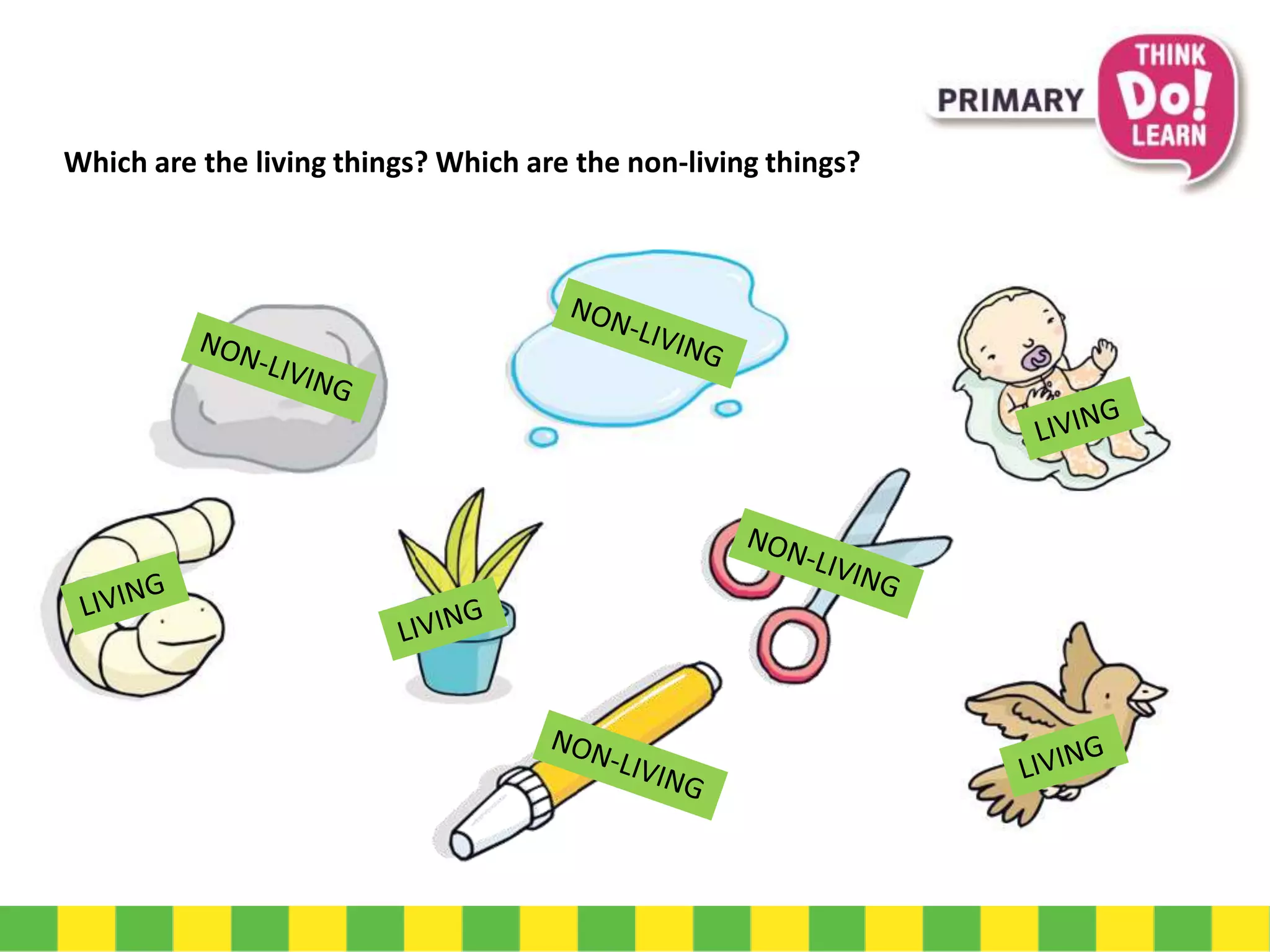 Ns2 m2 u3 presentation | PPTX