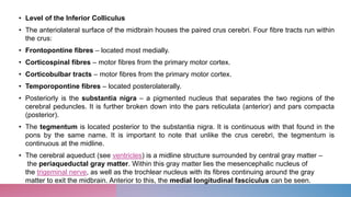 Nervous system | PPT