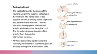 Nervous system | PPT