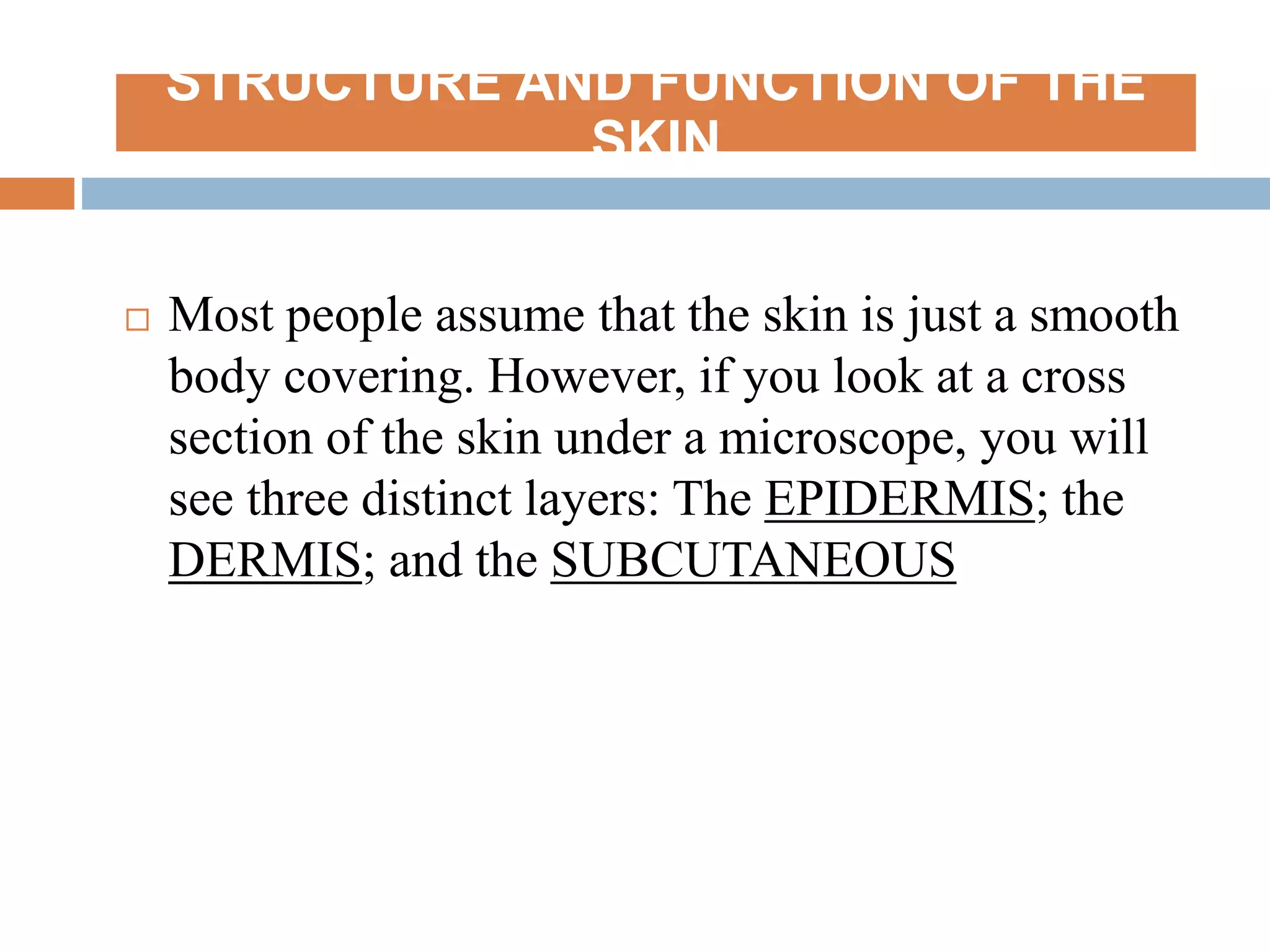 STRUCTURE, FUNCTION & ILLNESSES OF THE SKIN | PPTX