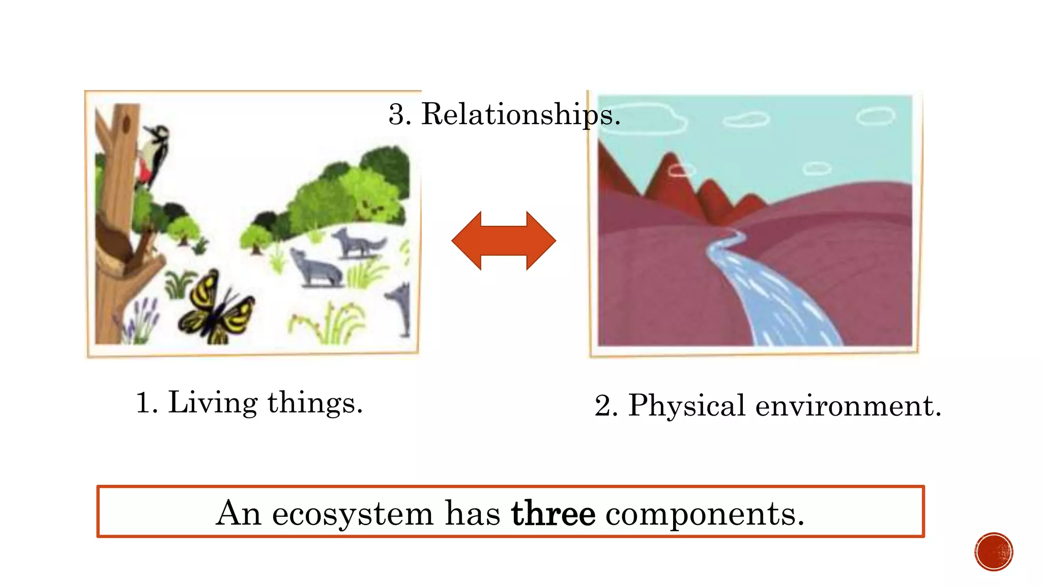 NS3 - Unit 4 Ecosystem.pptx