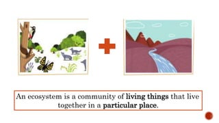 NS3 - Unit 4 Ecosystem.pptx