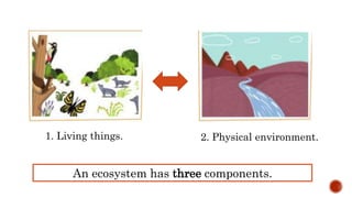 NS3 - Unit 4 Ecosystem.pptx