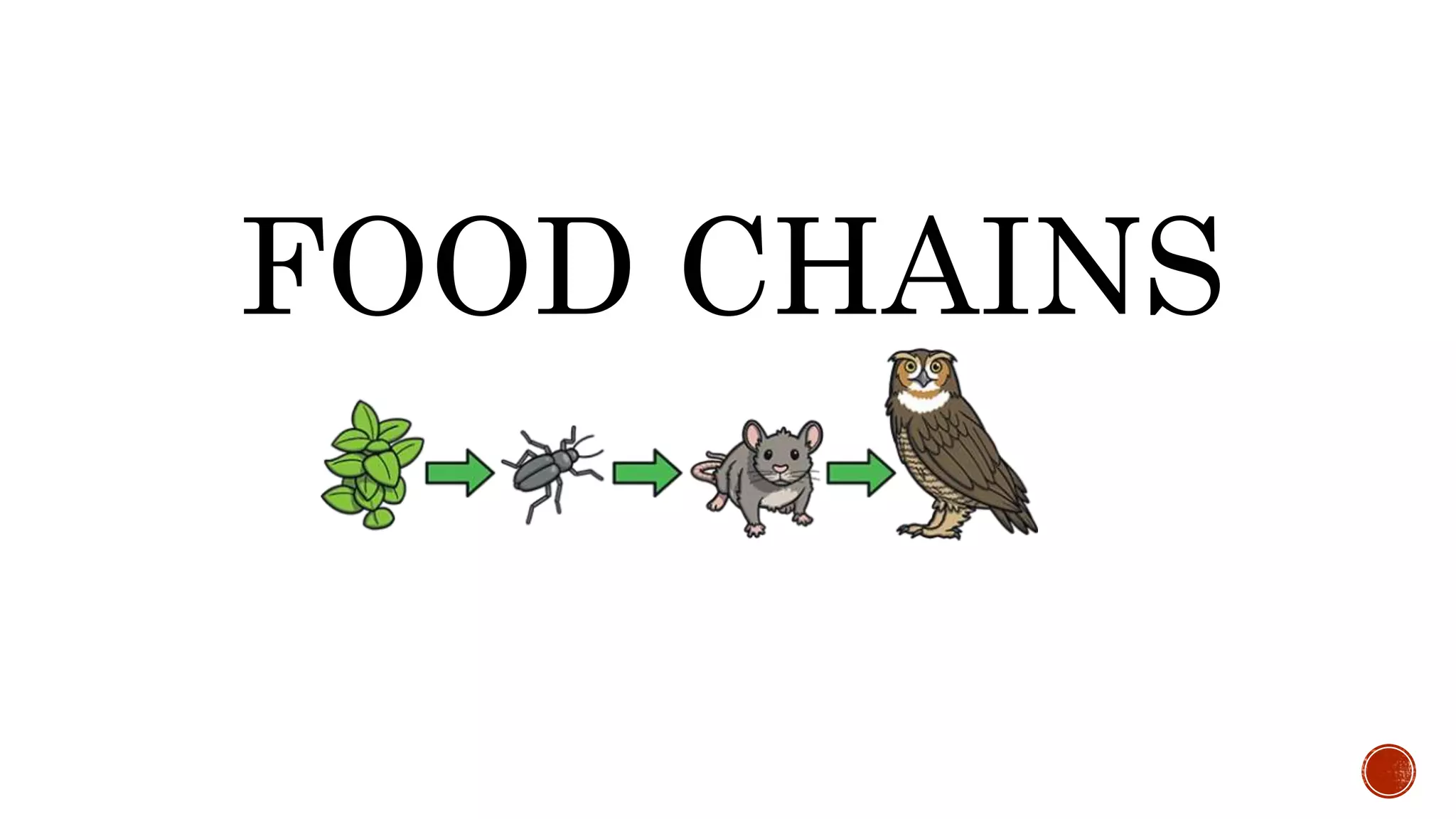 NS3 - Unit 4 Producers and consumers.pptx