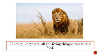 NS3 - Unit 4 Producers and consumers.pptx