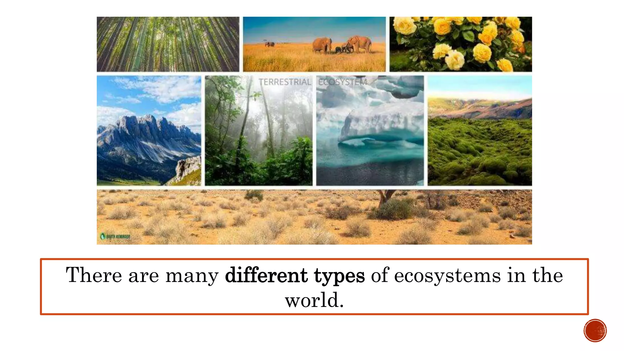 NS3 - Unit 4 Types of ecosystem.pptx