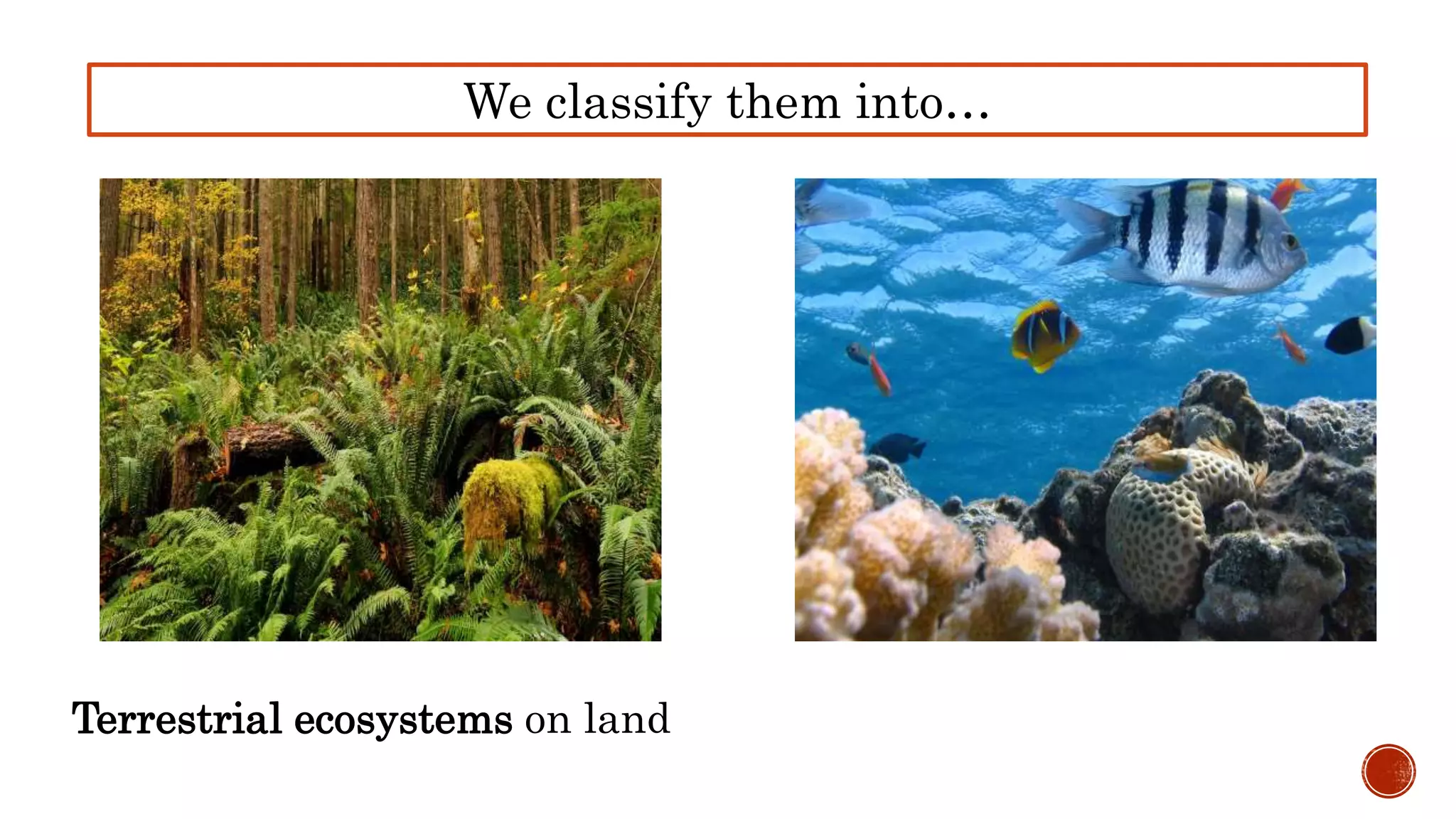 NS3 - Unit 4 Types of ecosystem.pptx