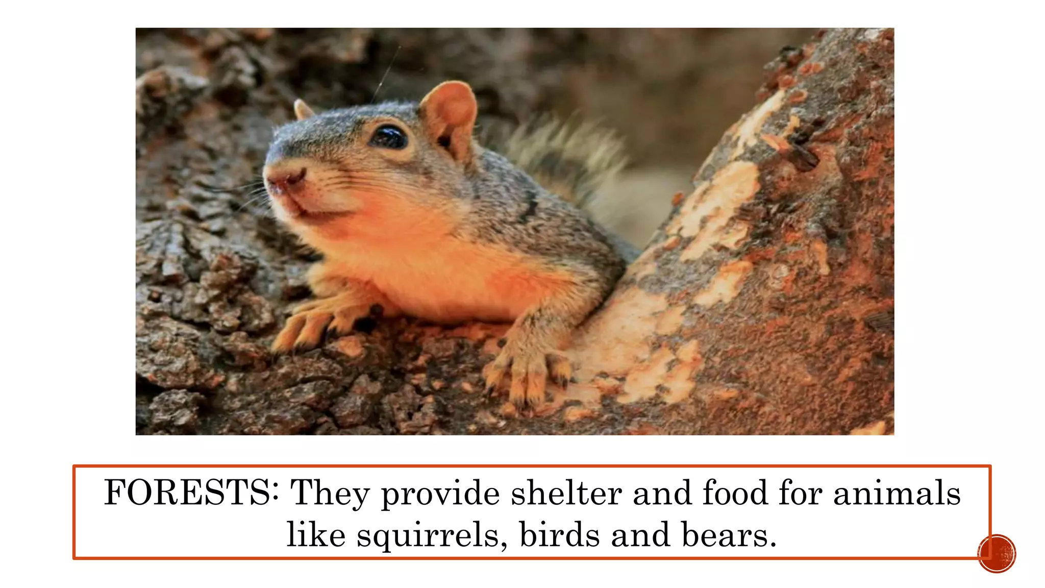 NS3 - Unit 4 Types of ecosystem.pptx