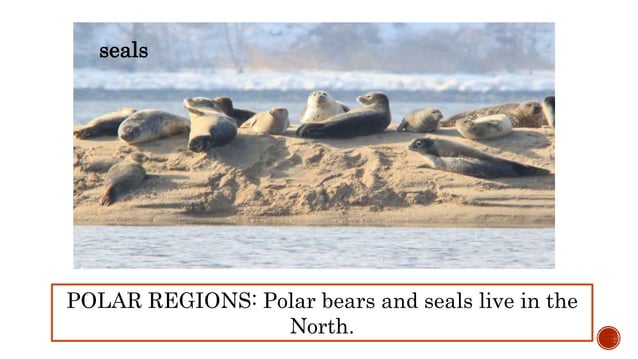 NS3 - Unit 4 Types of ecosystem.pptx