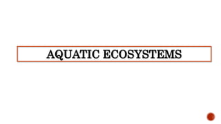 NS3 - Unit 4 Types of ecosystem.pptx