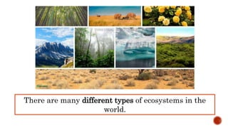 NS3 - Unit 4 Types of ecosystem.pptx