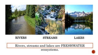NS3 - Unit 4 Types of ecosystem.pptx
