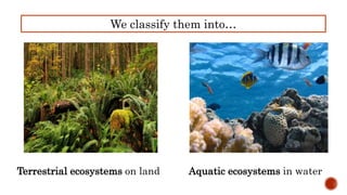 NS3 - Unit 4 Types of ecosystem.pptx