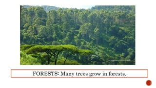 NS3 - Unit 4 Types of ecosystem.pptx