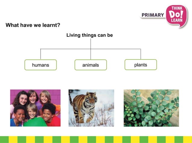 UNIT 1 NATURAL SCIENCE | PPT