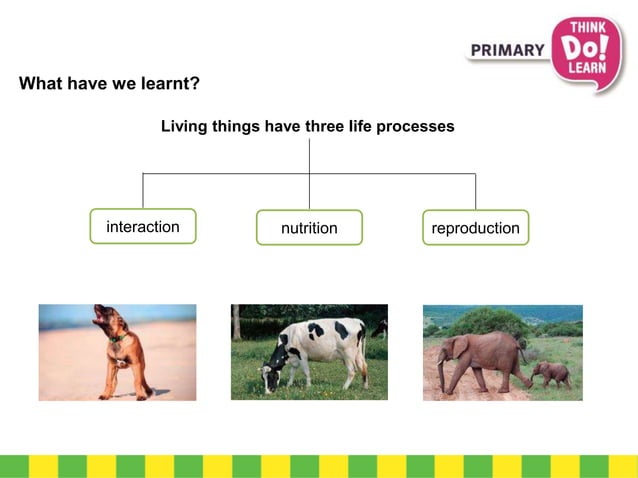 UNIT 1 NATURAL SCIENCE | PPT
