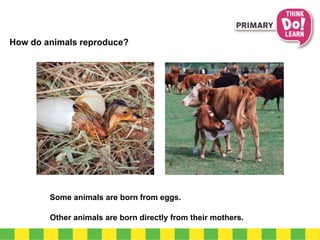 UNIT 1 NATURAL SCIENCE | PPTX