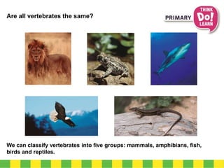 ANIMALS NATURAL SCIENCE | PPT