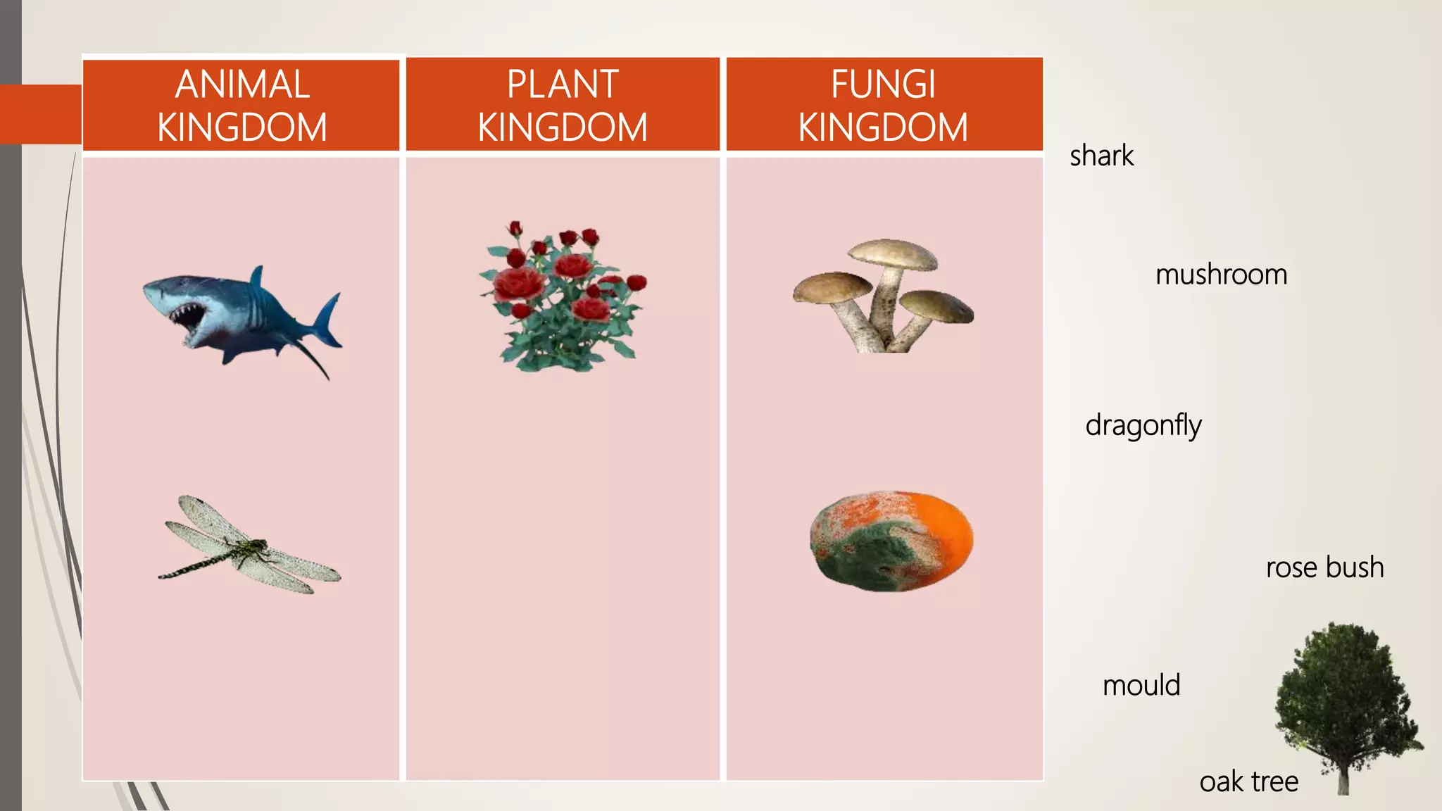 Ns3 unit 1 classification of living things 20 21 | PPT