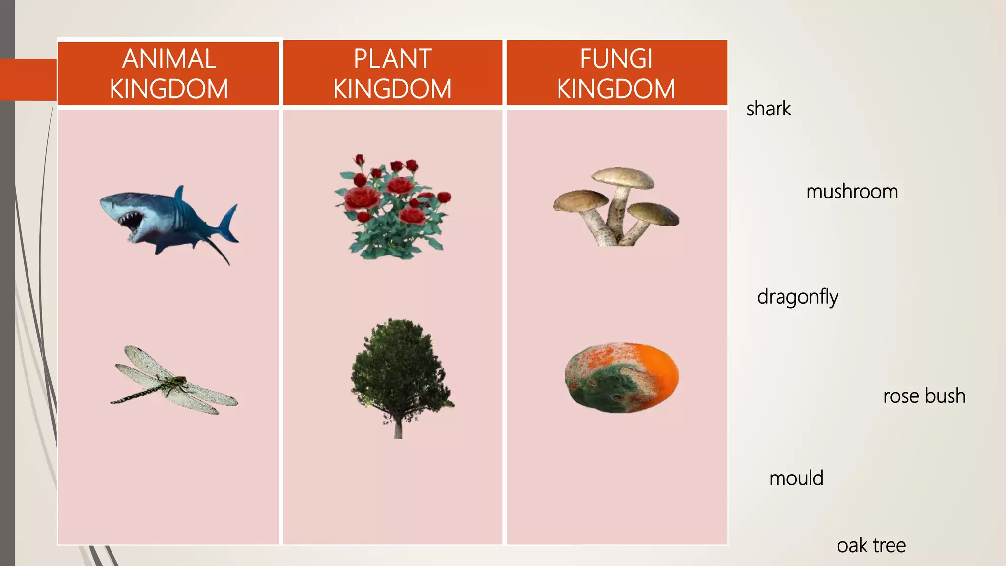 Ns3 unit 1 classification of living things 20 21 | PPT