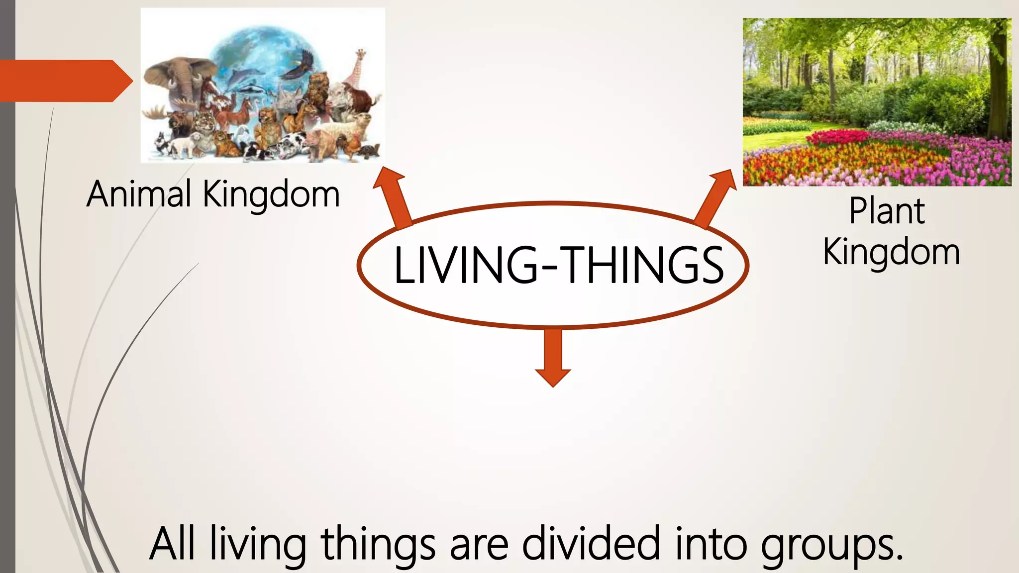 Ns3 unit 1 classification of living things 20 21 | PPT