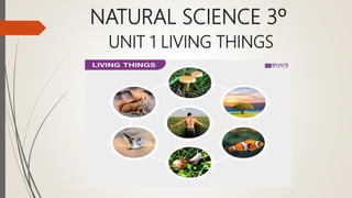 Ns3 unit 1 classification of living things 20 21 | PPT | Free Download