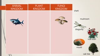 Ns3 unit 1 classification of living things 20 21 | PPT
