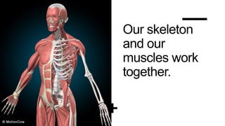 NS3 Unit 1 How do we move our body.pptx