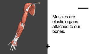 NS3 Unit 1 How do we move our body.pptx