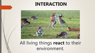 Ns3 unit 1 life processes of living things | PPTX