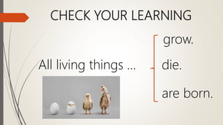 Ns3 unit 1 life processes of living things | PPTX