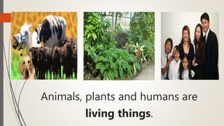 Ns3 unit 1 life processes of living things | PPTX
