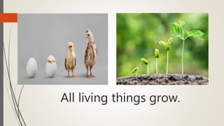 Ns3 unit 1 life processes of living things | PPTX