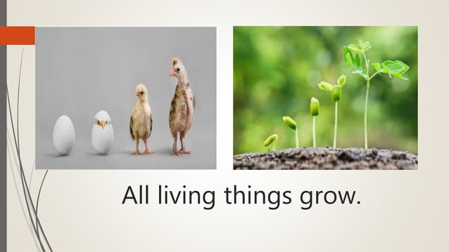 Ns3 unit 1 life processes of living things | PPTX | Biological Sciences ...