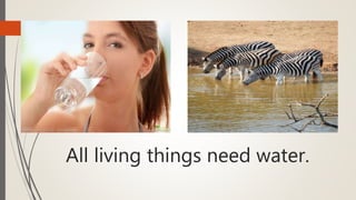 Ns3 unit 1 life processes of living things | PPTX