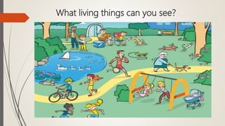 Ns3 unit 1 living things presentation 20 21 | PPT