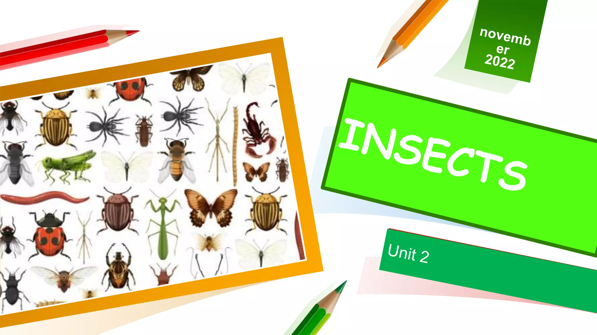 NS3 Unit 2 Insects.pptx