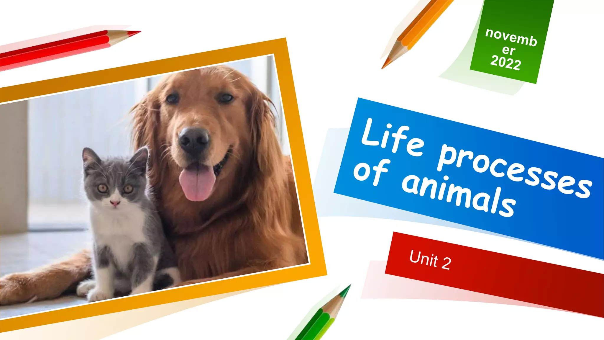 NS3 Unit 2 Life processes of animals.pptx