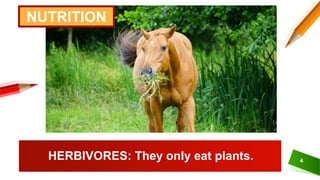 NS3 Unit 2 Life processes of animals.pptx