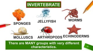 NS3 Unit 2 Types of animals.pptx