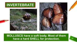 NS3 Unit 2 Types of animals.pptx