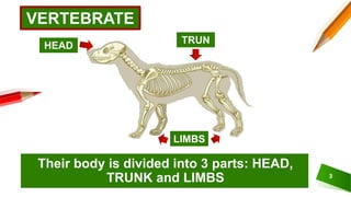 NS3 Unit 2 Types of animals.pptx