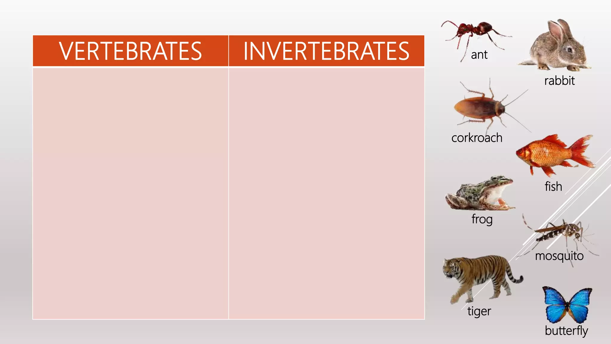 Ns3 unit 2 vertebrates and invertebrates 20 21 | PPT
