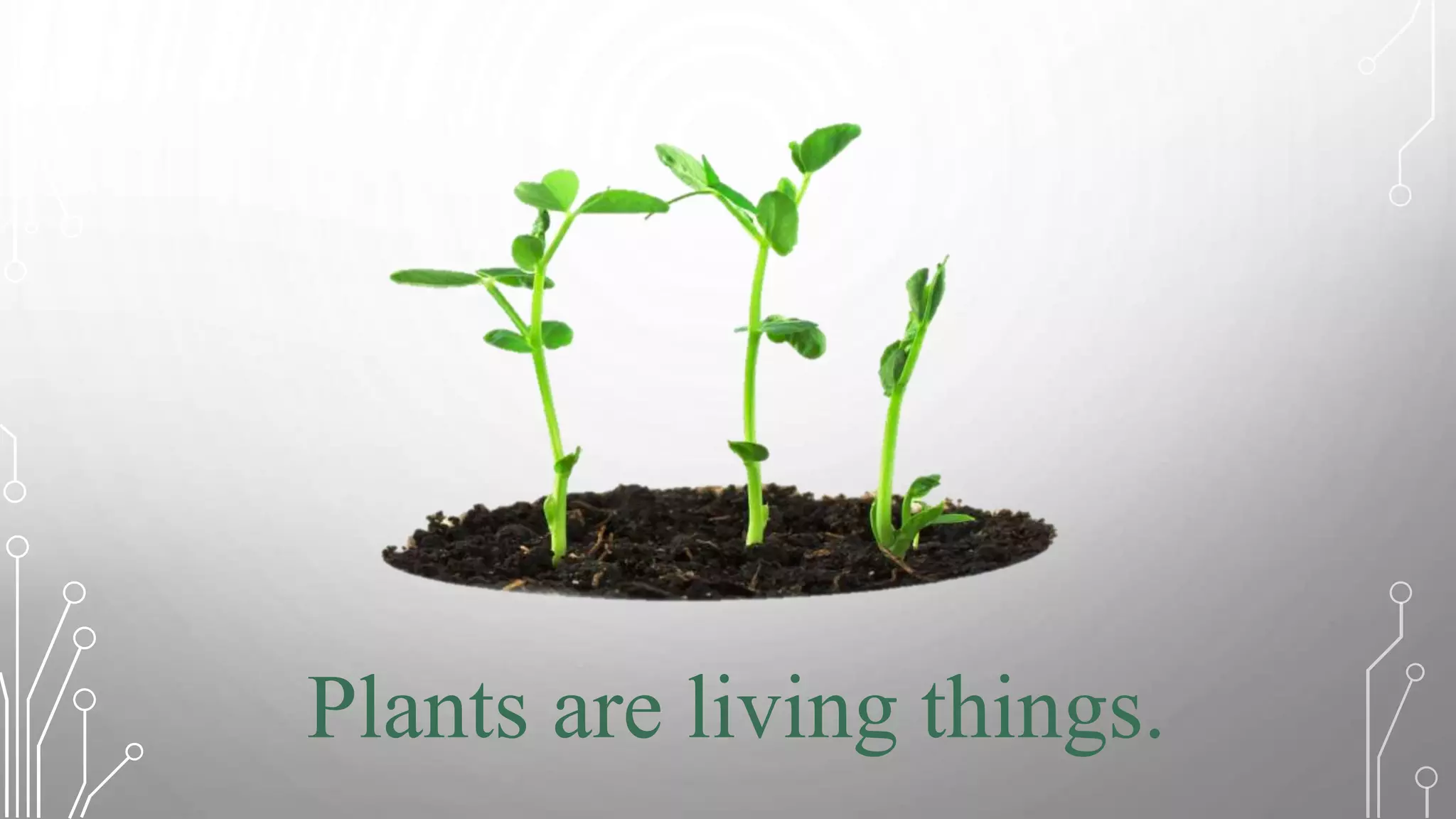 Ns 3 unit 3 characteristics of plants 21 22 | PPTX