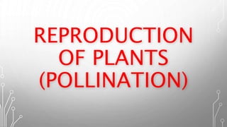 Ns 3 unit 3 reproduction of plants (pollination) slideshare 20 21 ...