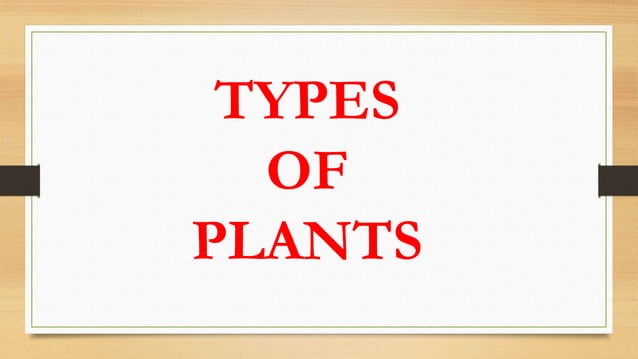 Ns 3 unit 3 types of plants 20 21 | PPT