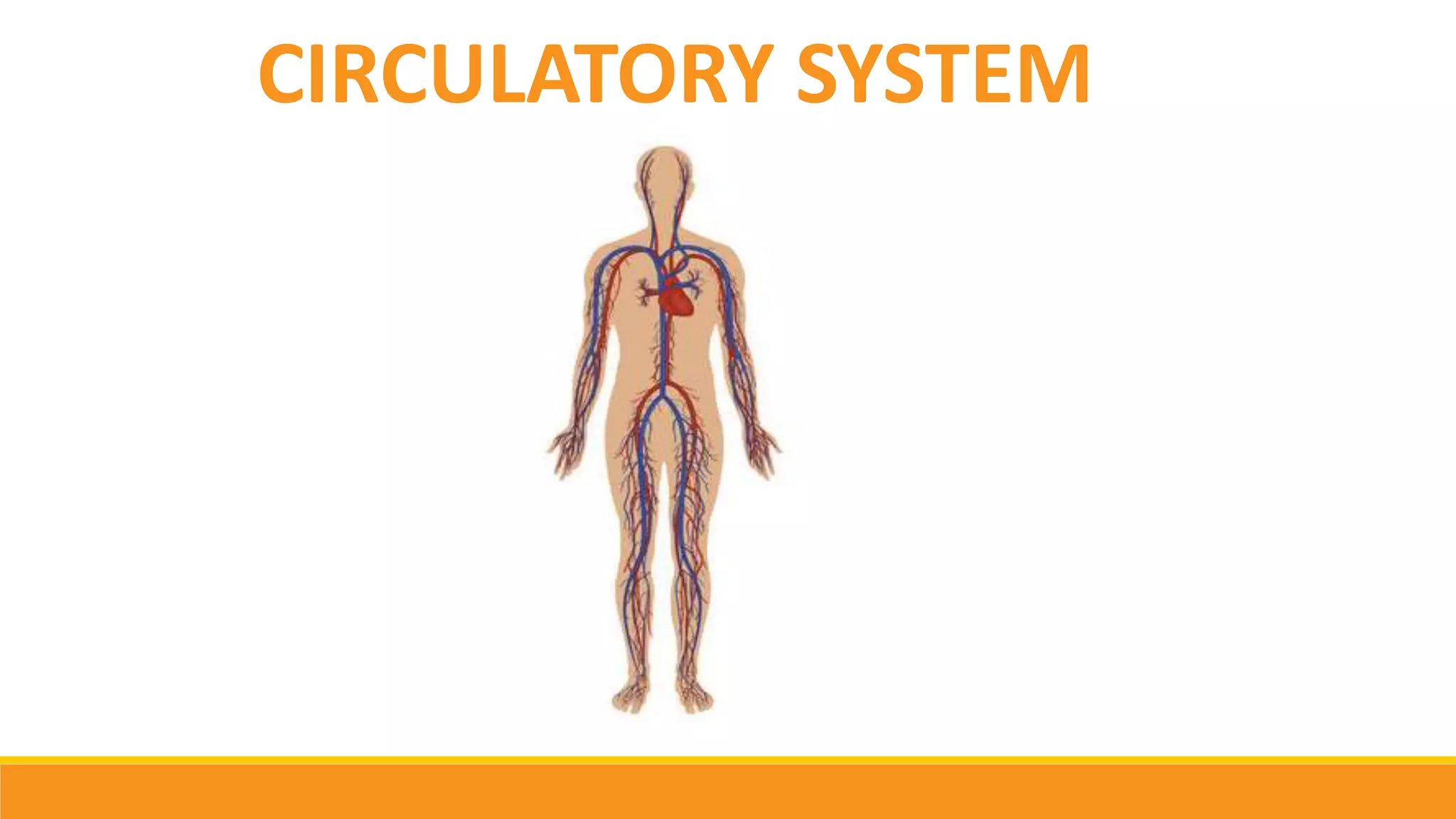 Ns3 unit 4 circulatory system | PPT