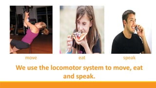 Ns3 unit 4 locomotor system | PPT